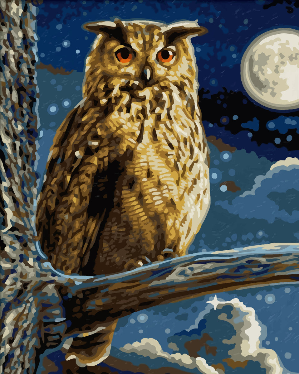 Owl and Moon Paint by Numbers Kits Adults – Houseart.uk