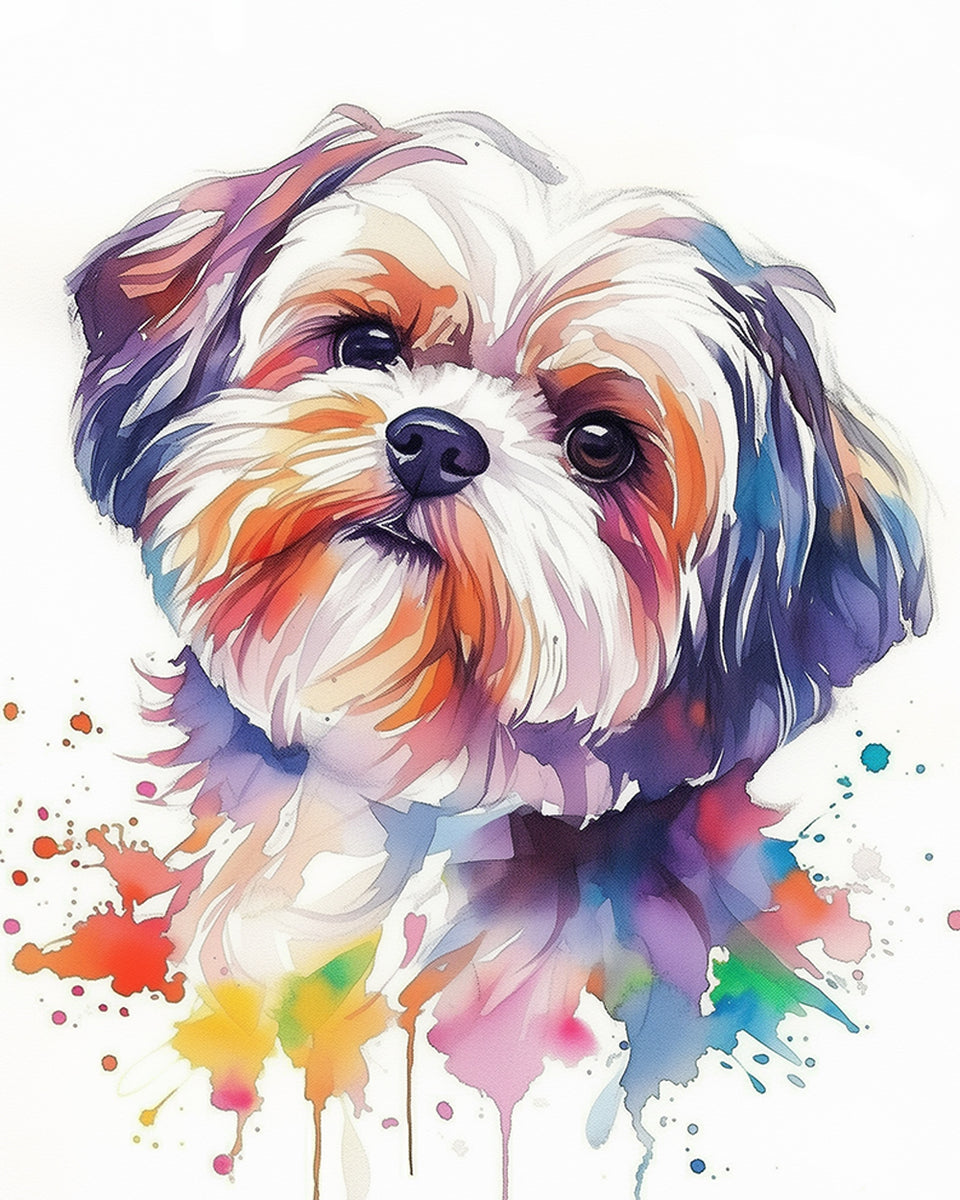 Cute Watercolor Shih Tzu Paint by Numbers Adults – Houseart.uk